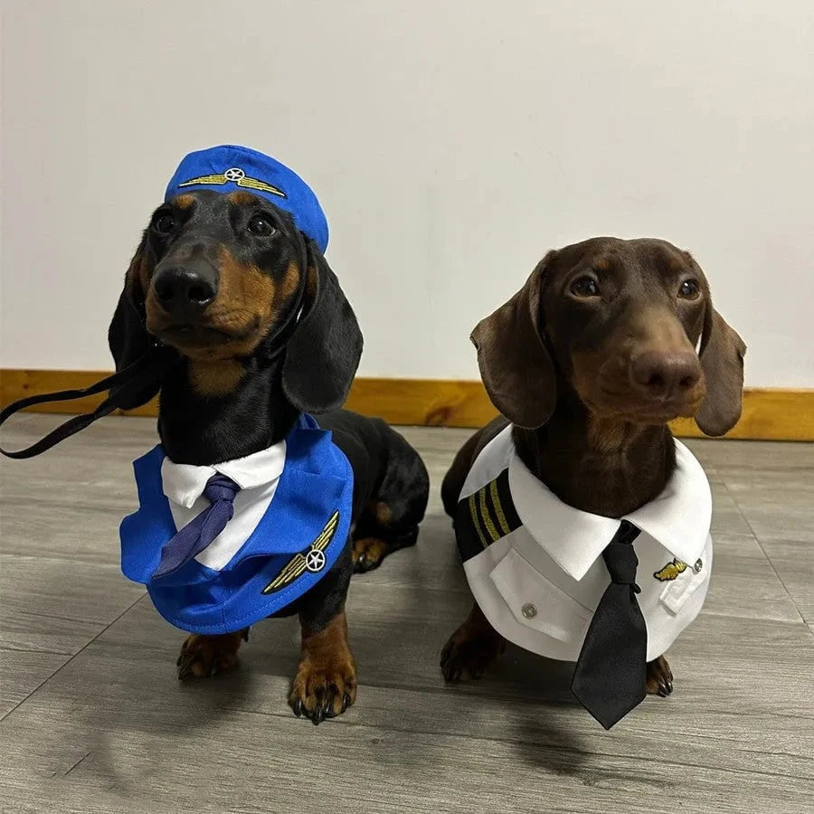Dachshund Dog Pilot Costume – The Doxie World