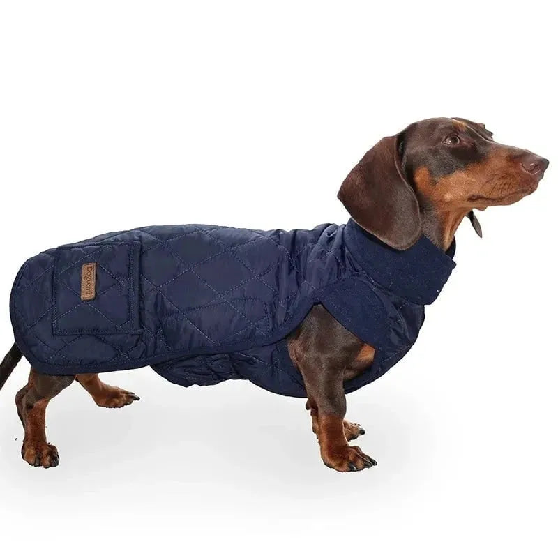 Quilted Wiener Dog Coat – The Doxie World